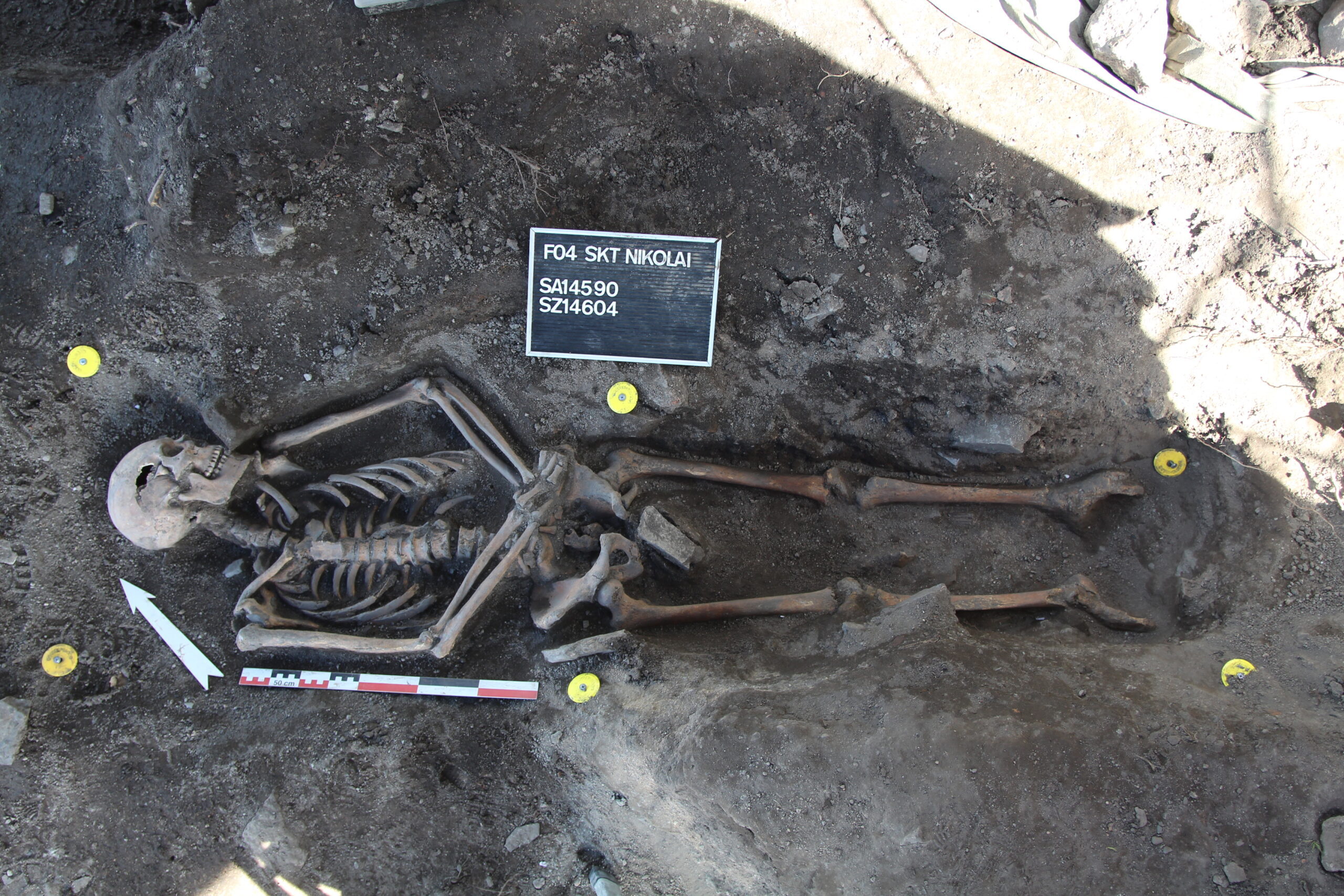 Bakterien bak svartedauden er påvist i norsk skjelett for første gang ...