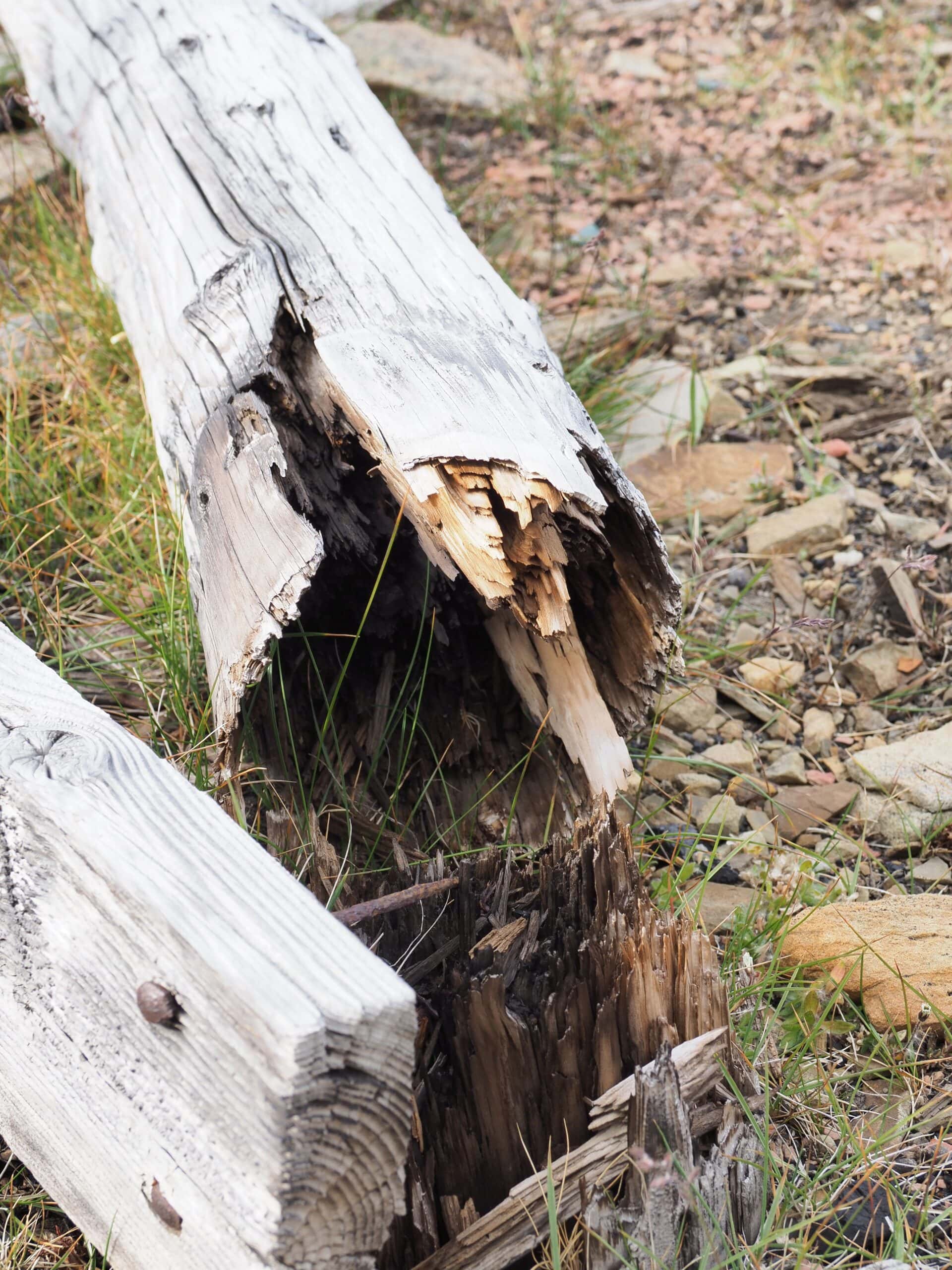 ADAPT NORTHERN HERITAGE — Norsk institutt for kulturminneforskning