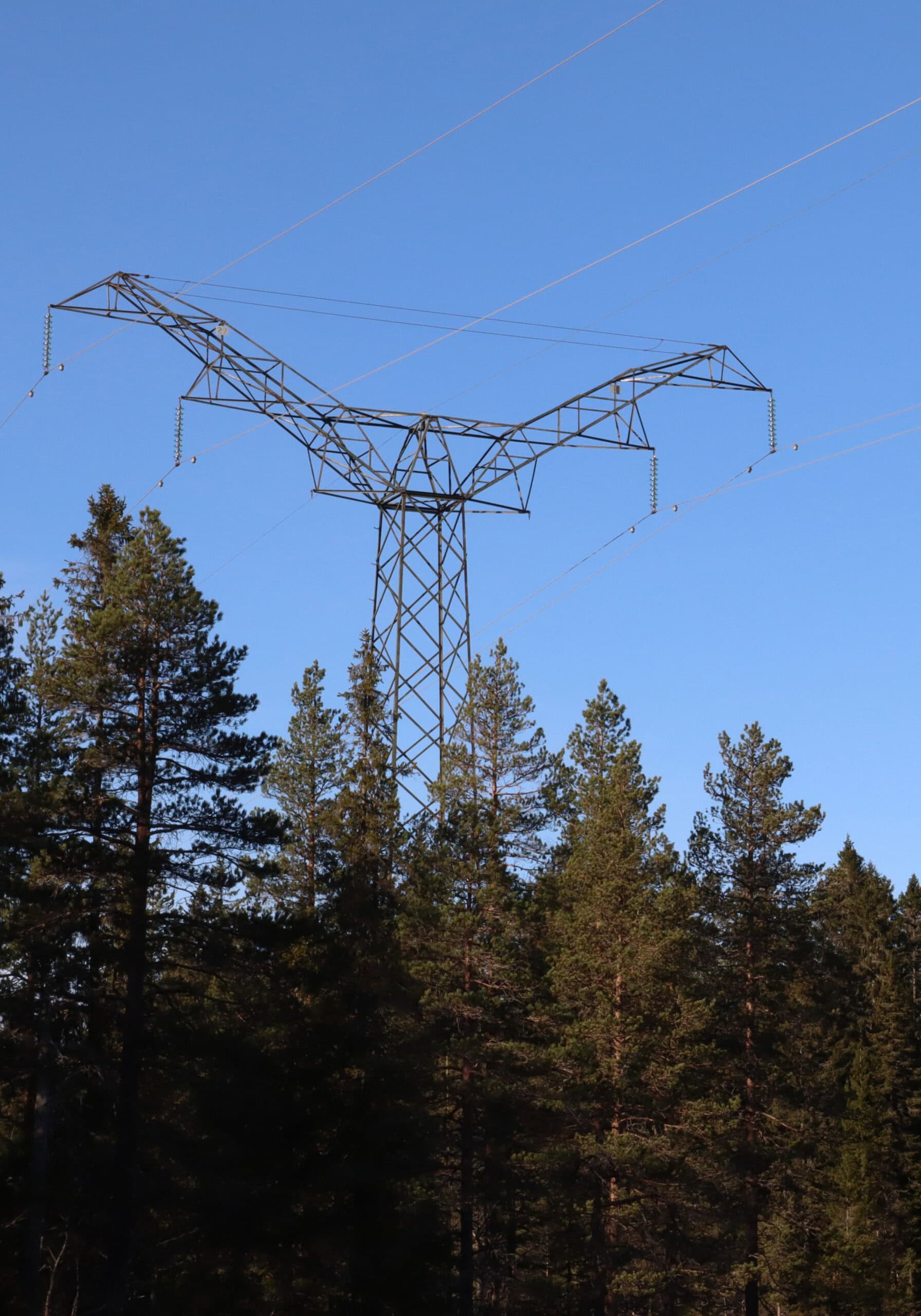 Dokumentasjon av kraftledning Ultvedt-Smestad — Norsk institutt for ...